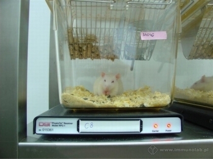 Faculty of Biological and Veterinary Sciences - Nicolaus Copernicus ...